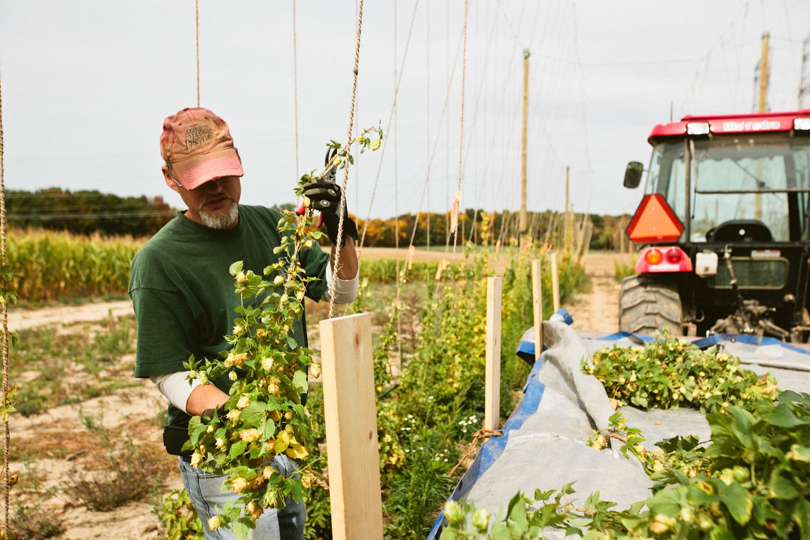 mibeerfilm: Hop Head Farms