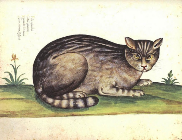 True Book Addict...Books, Cats, and More: March 2019