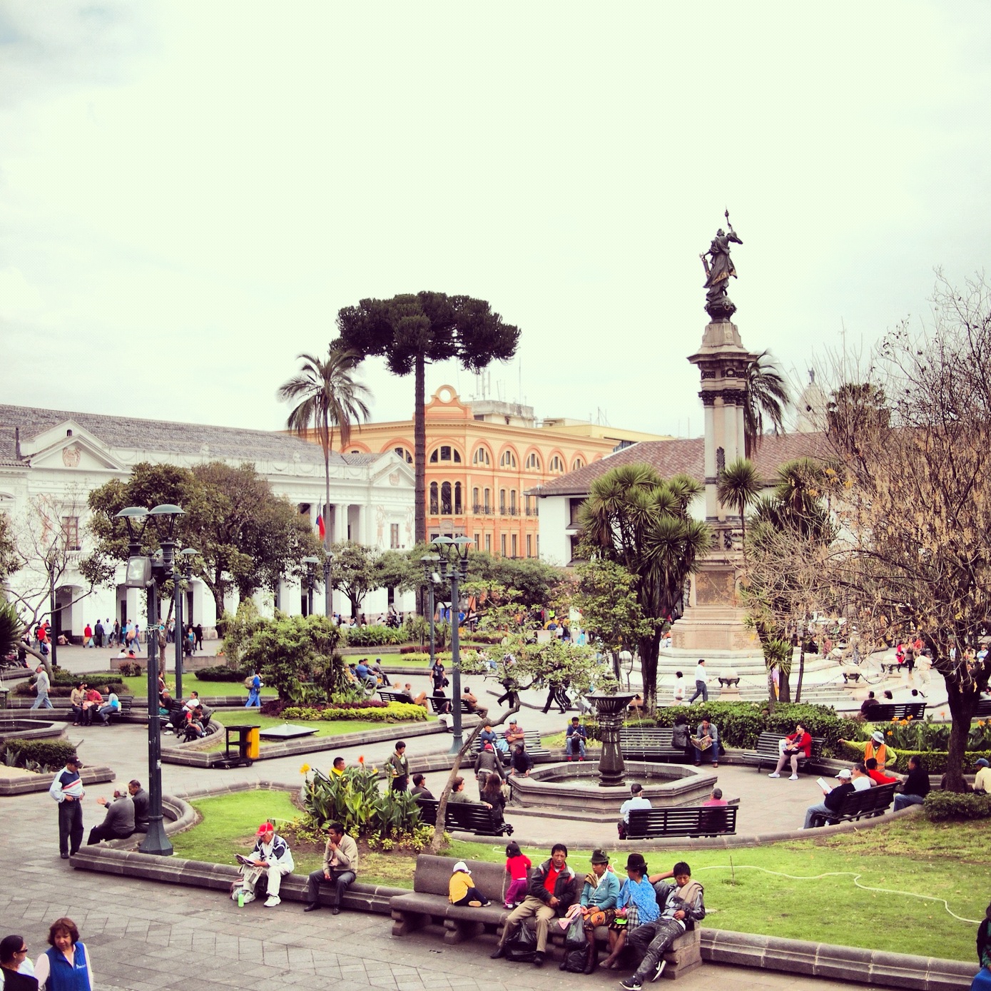 Scout Regalia: Field Research: Quito, Ecuador
