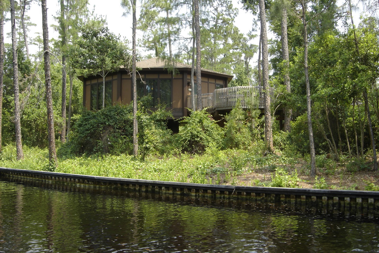Disney Vacation Kingdom: Treehouse Villas