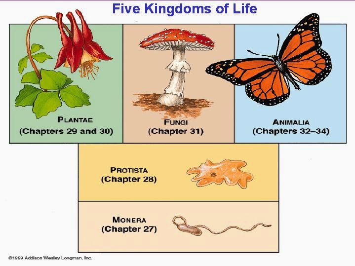 SCIENCE: LIVING BEINGS