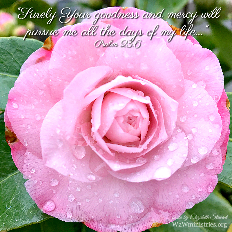 Just following Jesus in my real life...: Chased by goodness and mercy...