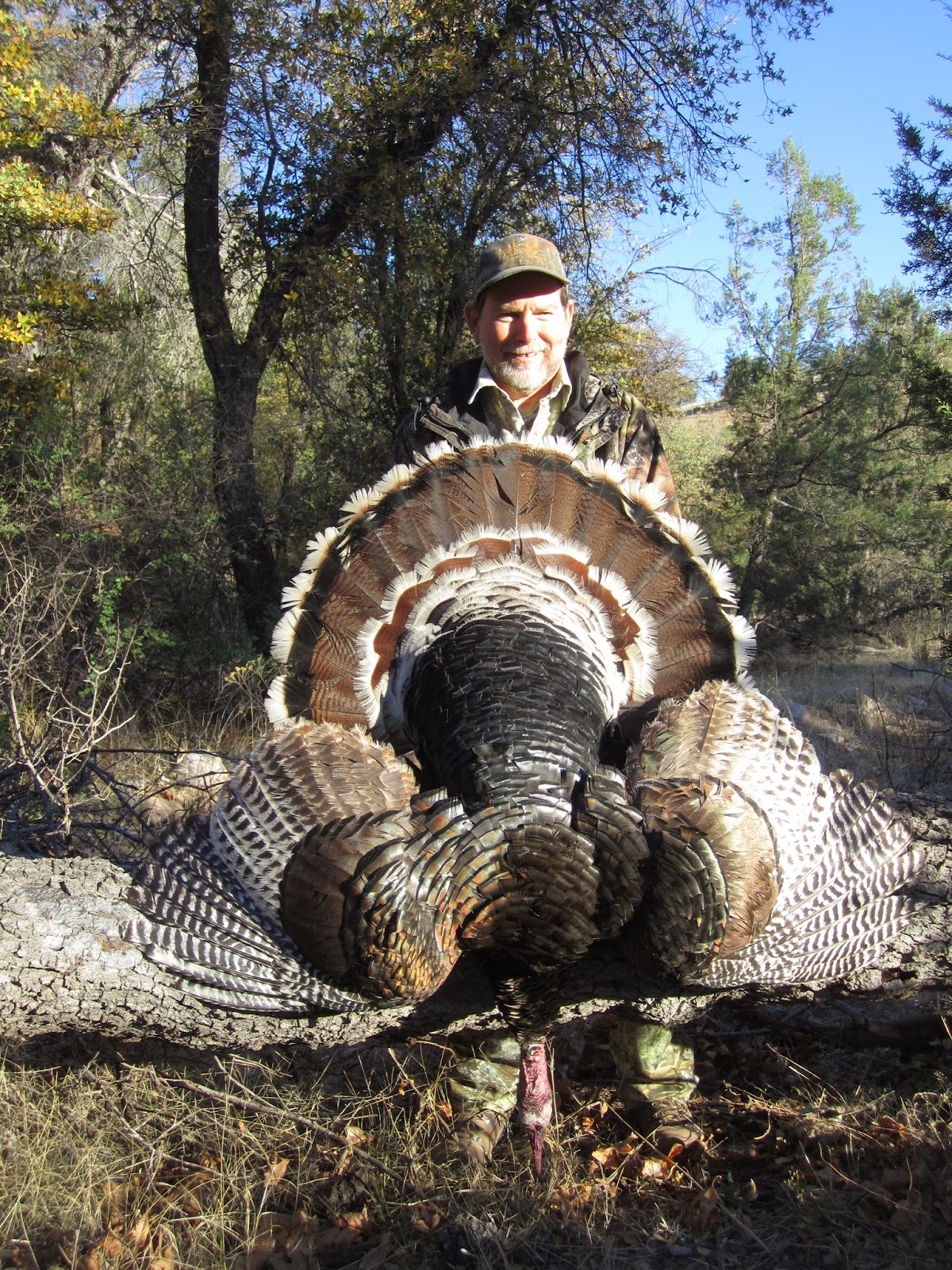 Goulds Turkey Hunt: 2012 Randy's Goulds Turkey Hunt Photos with Jay Scott