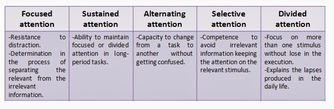 Be students, be teachers: Basic cognitive processes
