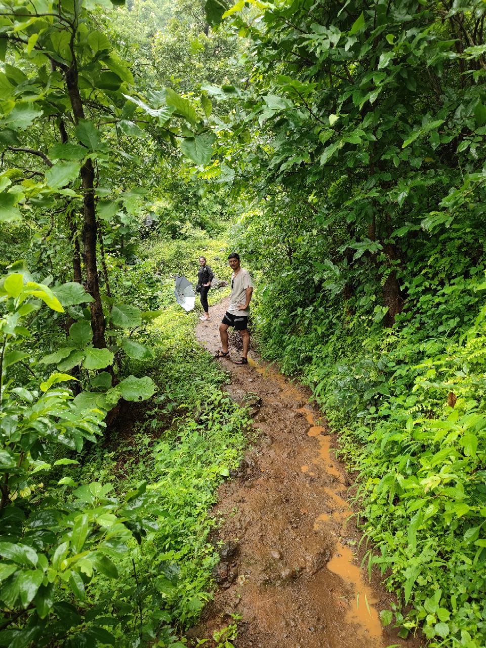 Map less journey with Dr Nitin: Ankda waterfall, Near Vangan ( Vansda ...