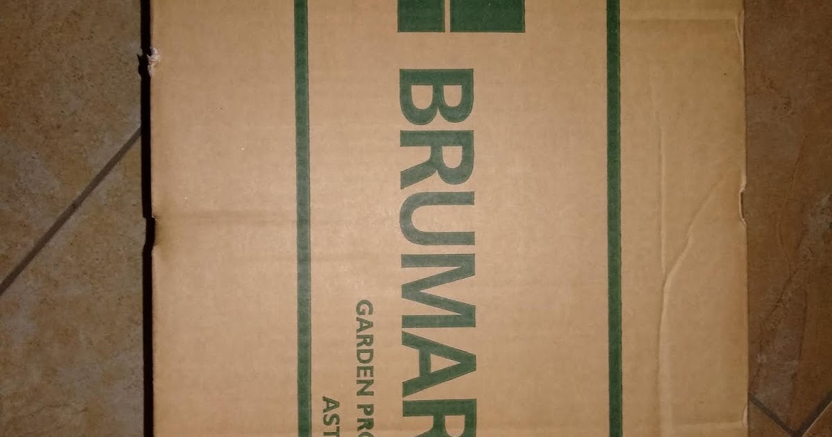 Gli amici di Conca D'Oro quartiere di Roma: Brumar S.r.l. sostiene l ...