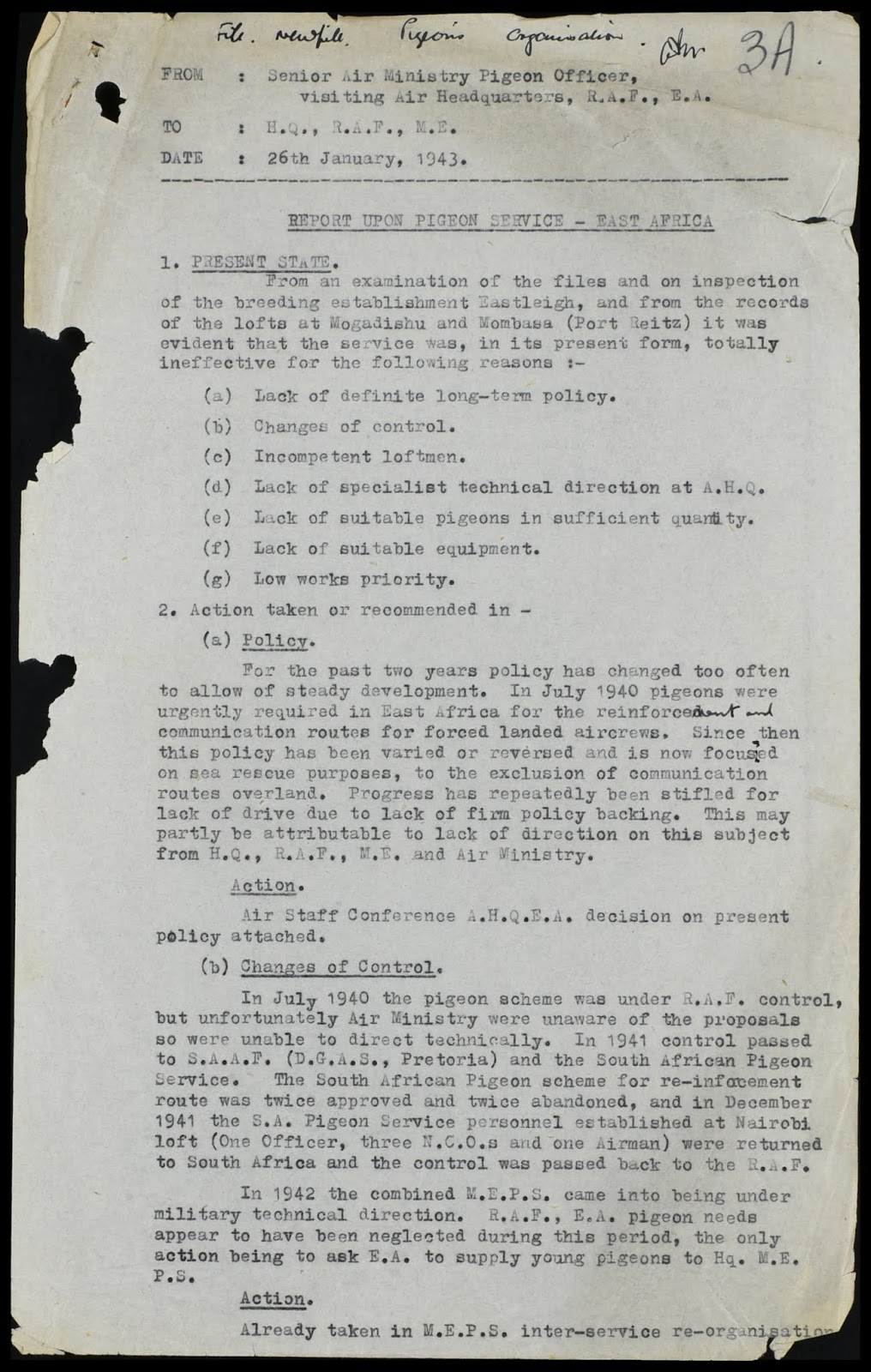 World War 2 History and the WW2 Pigeons: Have the pigeons arrived ...