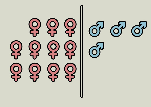 INFO-TYPE: GENDER COLOUR SAMPLES