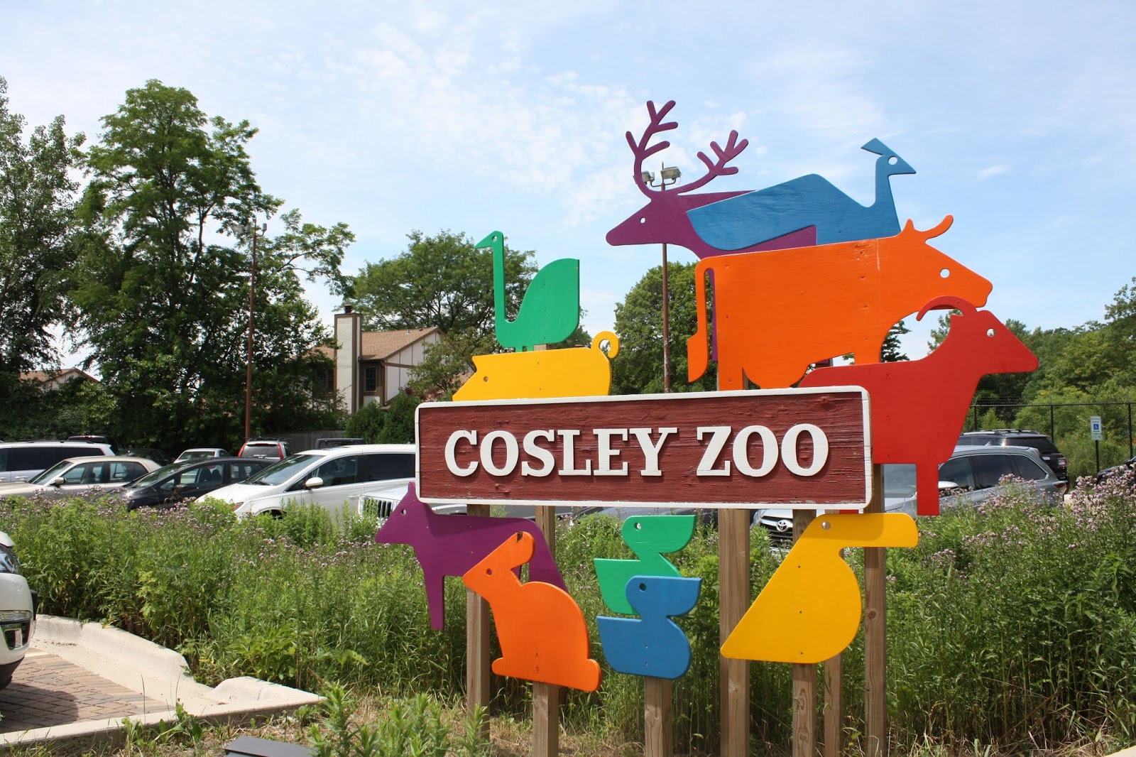 A Little Time and a Keyboard: Bobcats Backstage at Cosley Zoo in ...