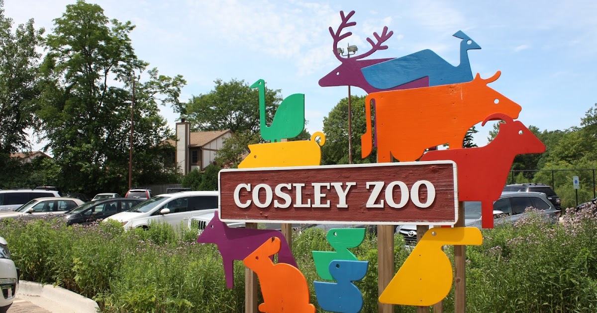 A Little Time and a Keyboard: Bobcats Backstage at Cosley Zoo in ...