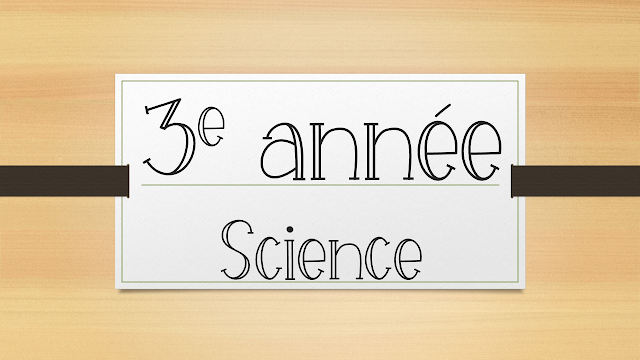 3e année