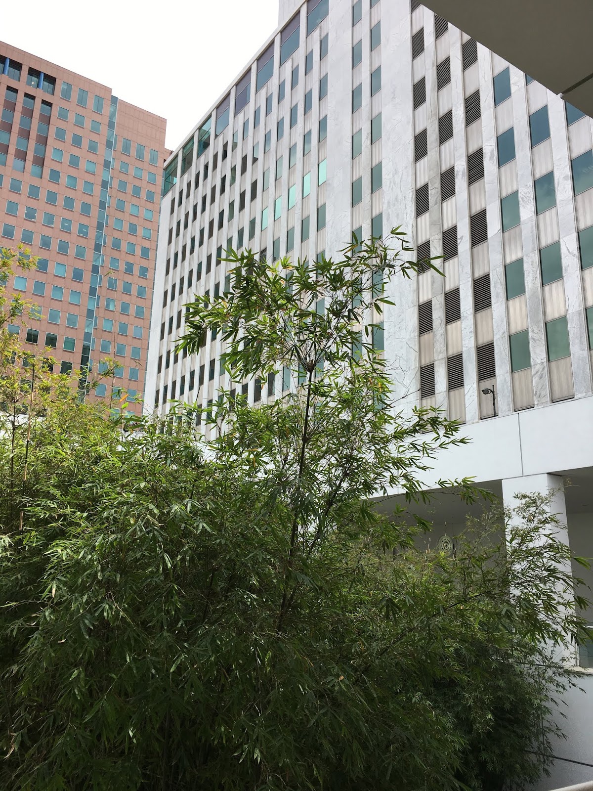 Experiencing Los Angeles: Van Gogh, Monet and Rembrandt: Hammer Museum ...