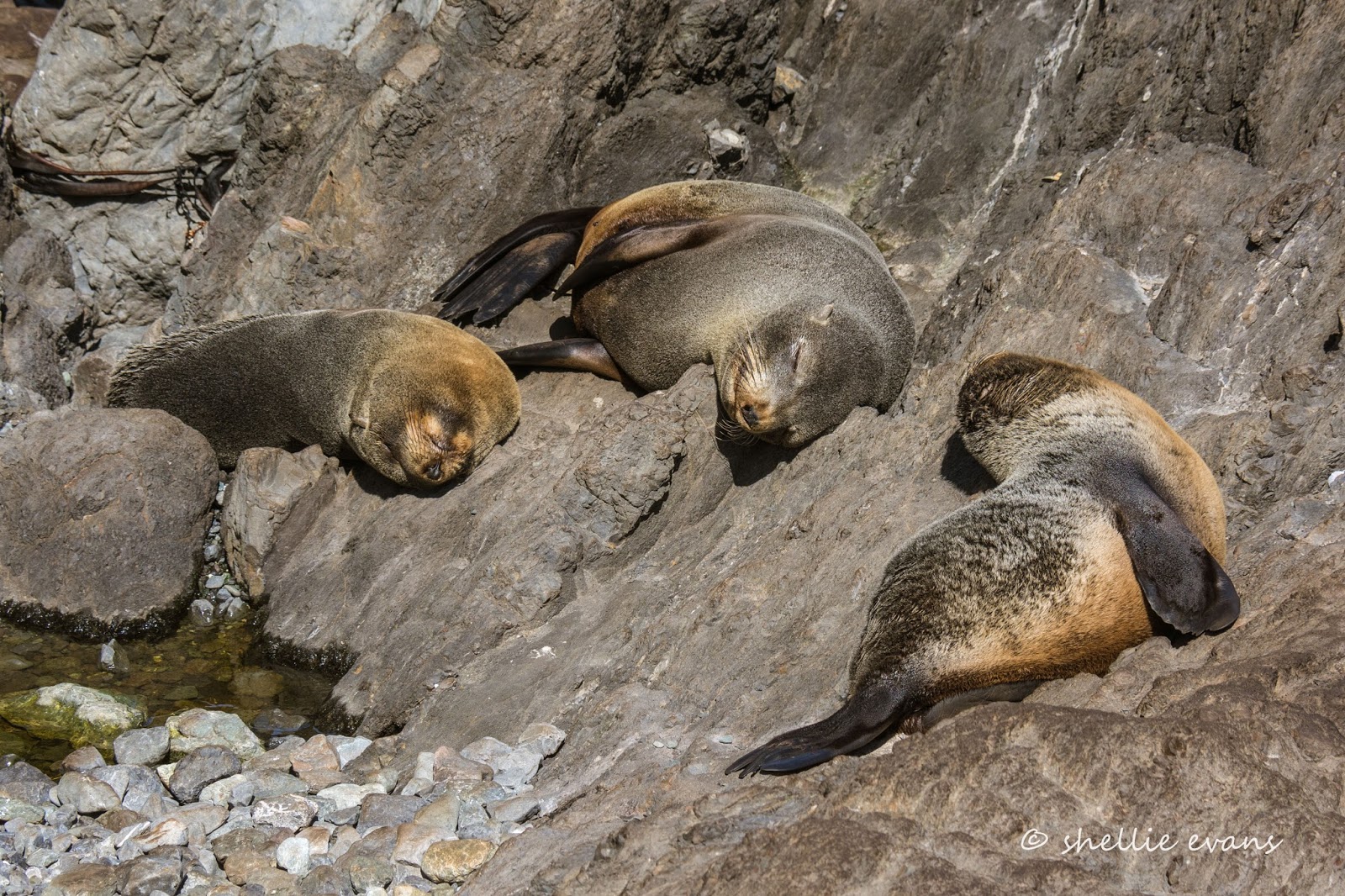 Two Go Tiki Touring: Beach Hop South- Ngawi- Part 2; Lighthouse & Seals