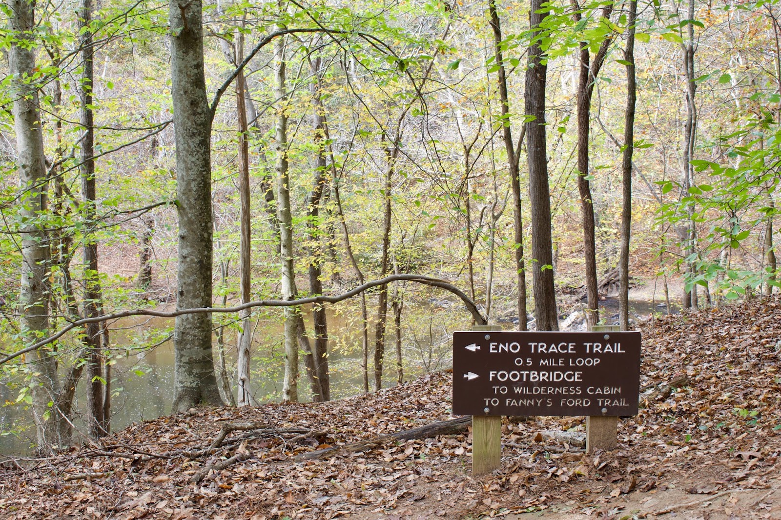 Eno River State Park
