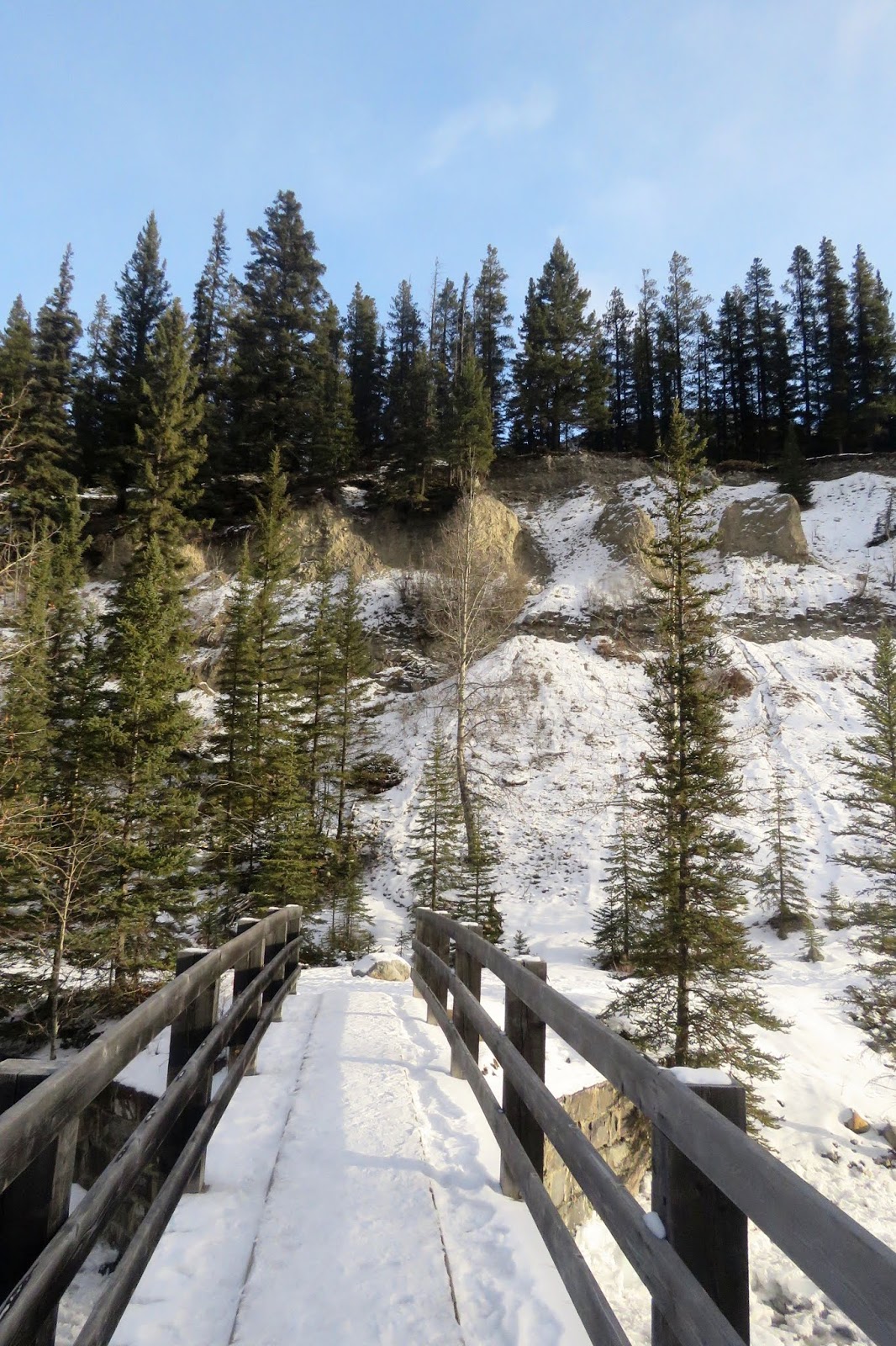 Making Waves: Spray River Loop Banff December 3, 2019