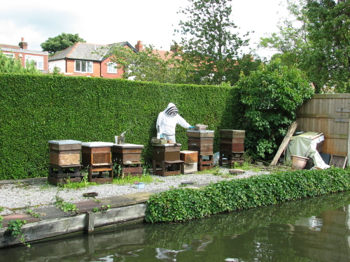 Travels in Narrowboat Lily Pad: Second week in Liverpool
