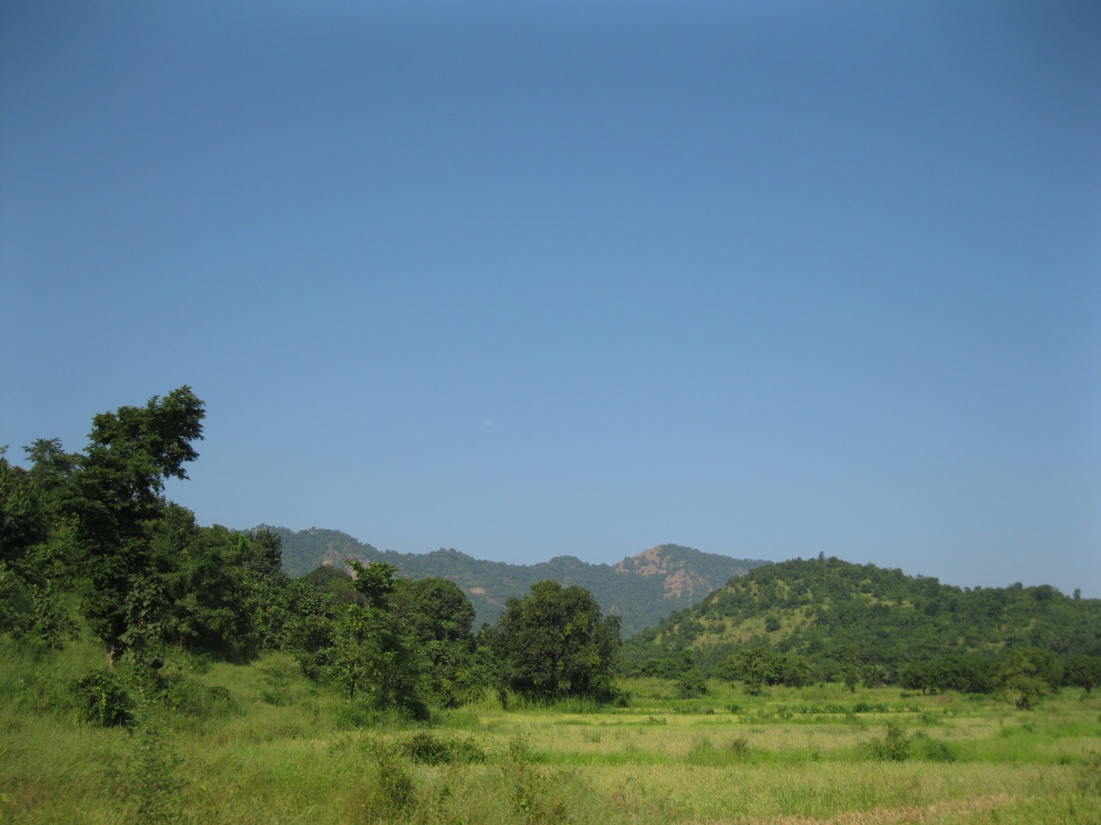 Namo Nityananda: Divine land of Ganeshpuri