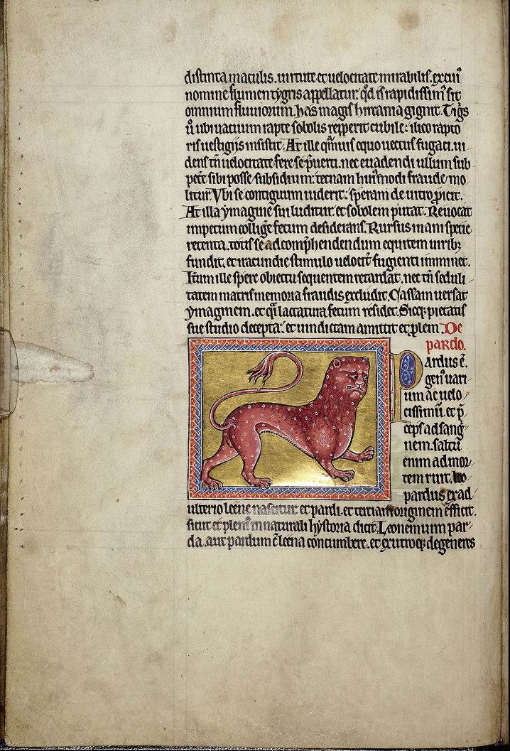 ¡ILUMINAME! - SOBRE EL MANUSCRITO MEDIEVAL 03