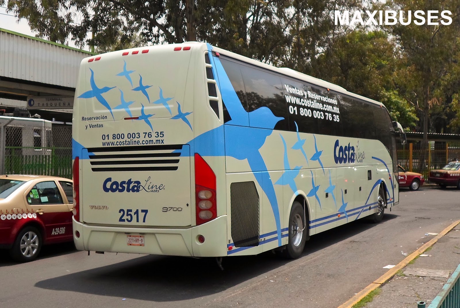 MAXIBUSES: COSTA LINE