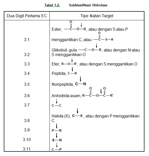 Klasifikasi enzim ~ Belajar Biokimia