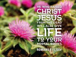 puricare chronicles: THE SAME SPIRIT - When you accept Jesus as your ...