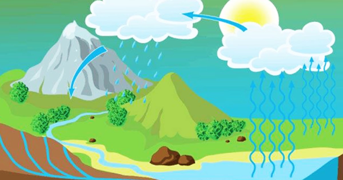 El agua en nuestro planeta