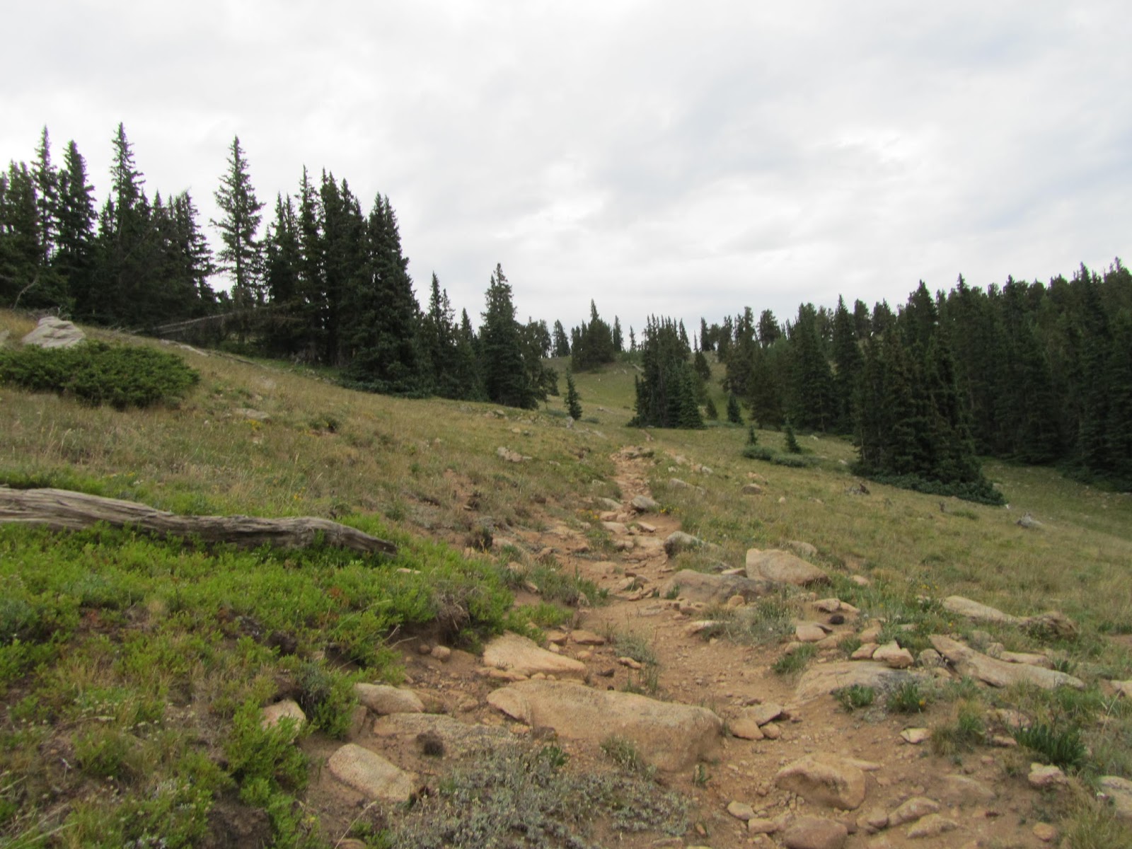 Tomcat's Outdoor Adventures: Backpacking the Collegiate Loop