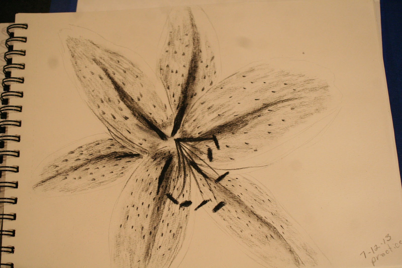 Fine Nature Art by Sharon Graves: July 2013