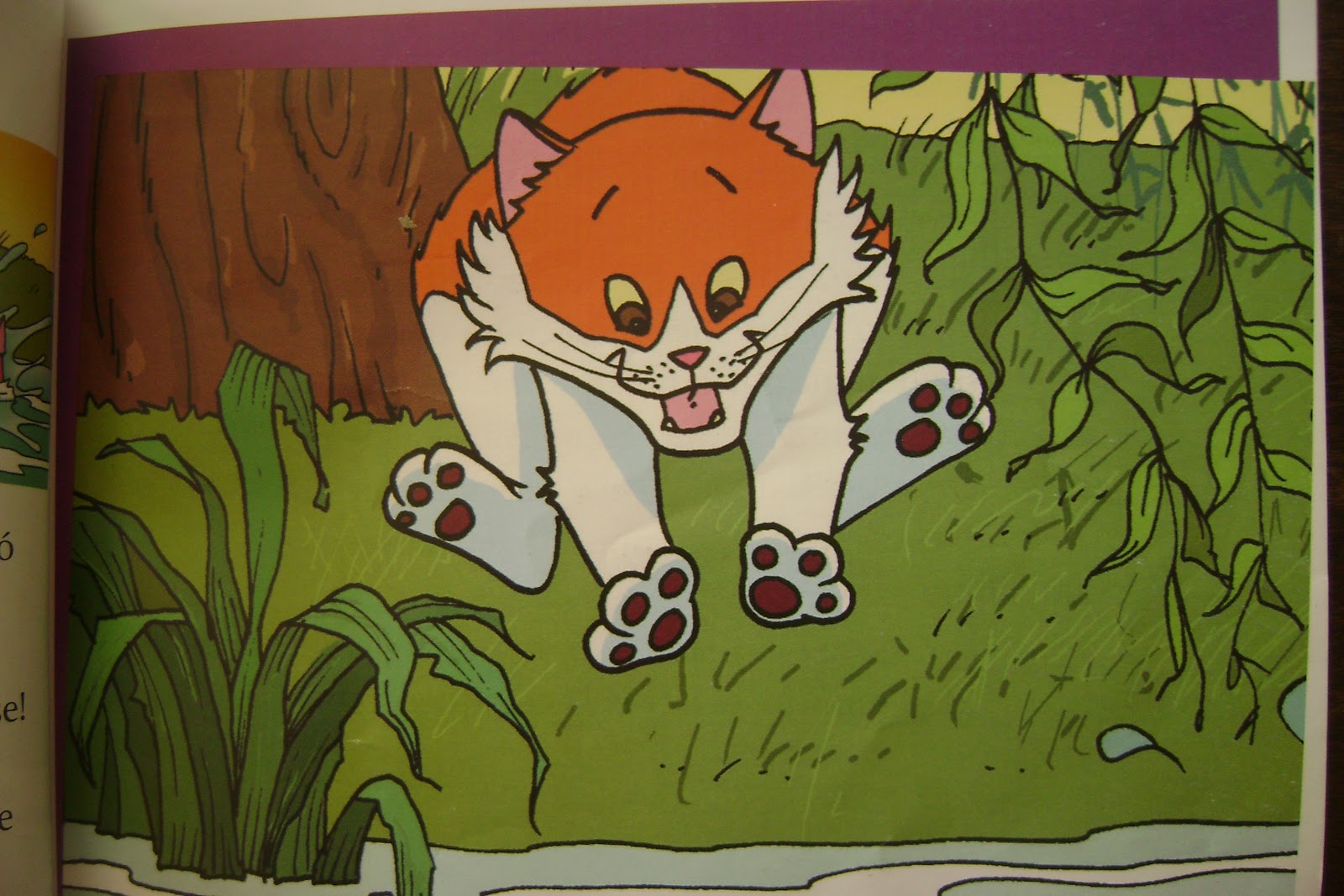 vendaje conductor Oso polar cuento bigote el gato sin cola legación Con ...