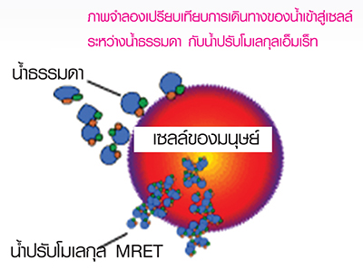 น้ำดื่ม Activ120: น้ำปรับโมเลกุลMRET (เอ็มเร็ท) คิออะไร?