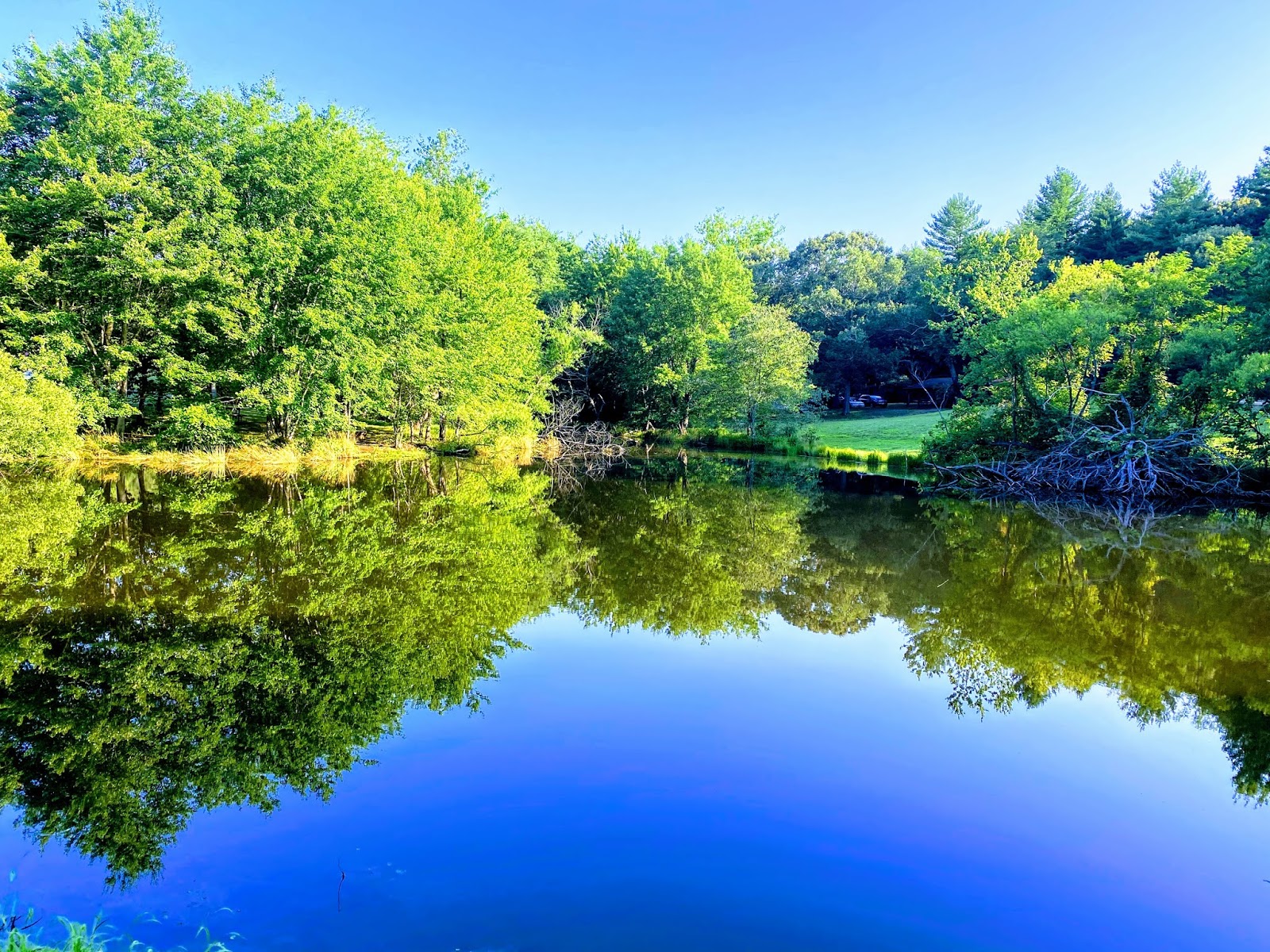 Andy (Avraham) Blumenthal Leadership, Technology, Life, and Faith ...