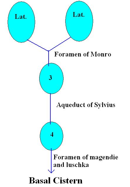 MedicoNotebook: Hydrocephalus