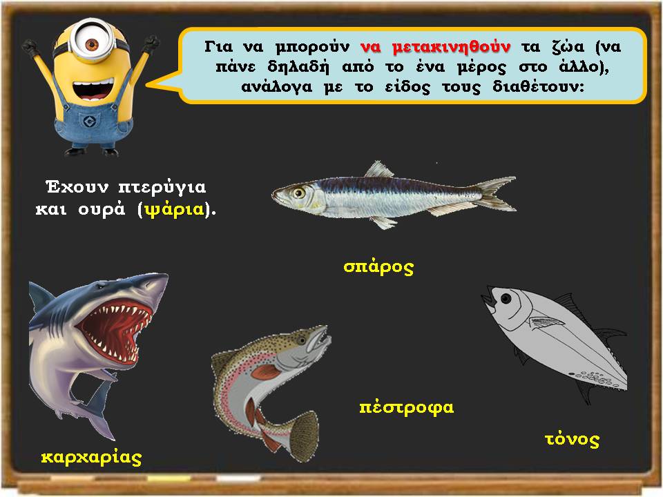 Παίζω και μαθαίνω: ΤΑ ΖΩΑ
