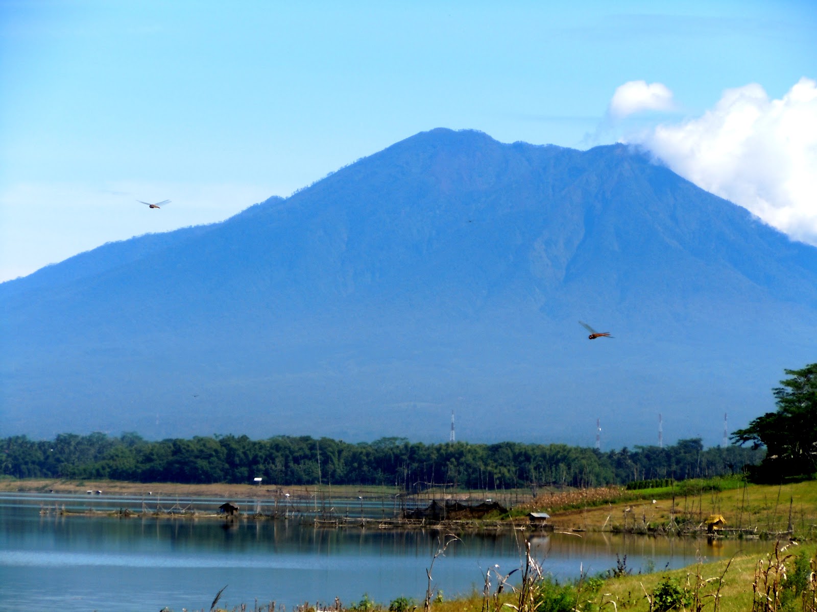 Gunung Butak - Perumperindo.co.id