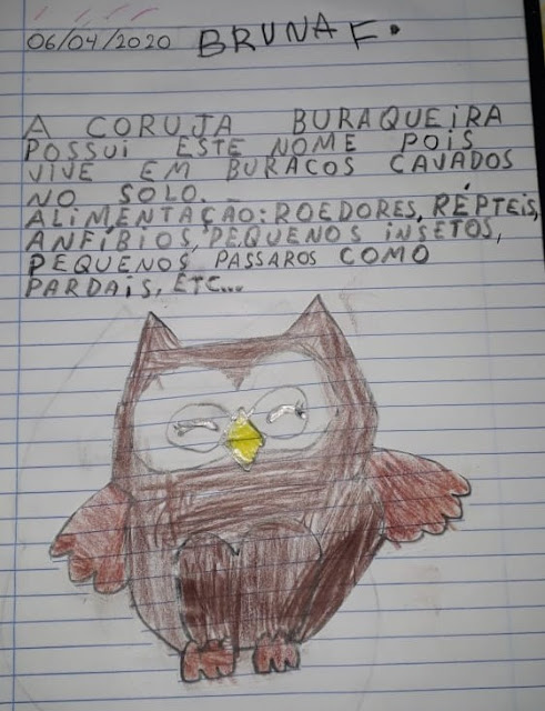 BRINCAR E APRENDER: AULA VIRTUAL 02 - PROJETO CORUJA