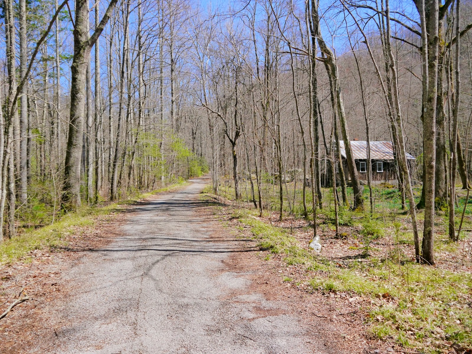 American Travel Journal: Little River Trail - Great Smoky Mountains ...