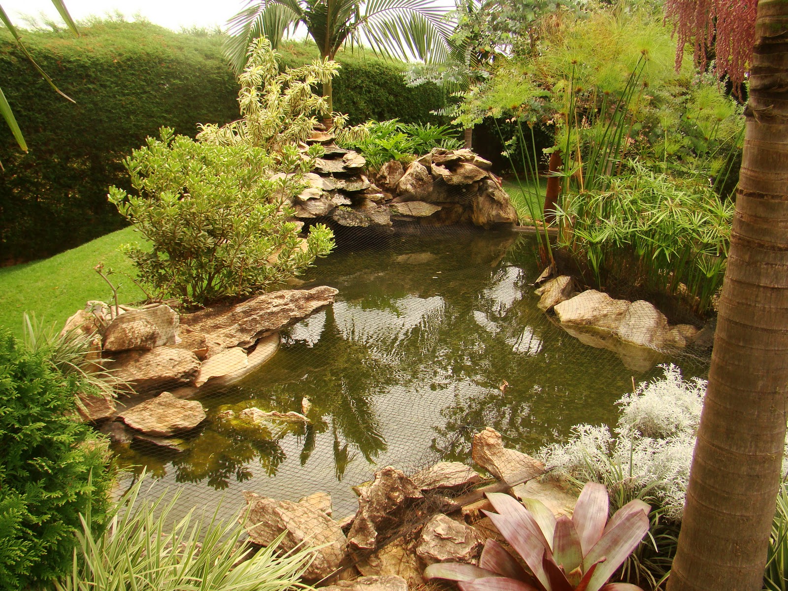 Oasis do lar: Um lago ornamental em sua casa