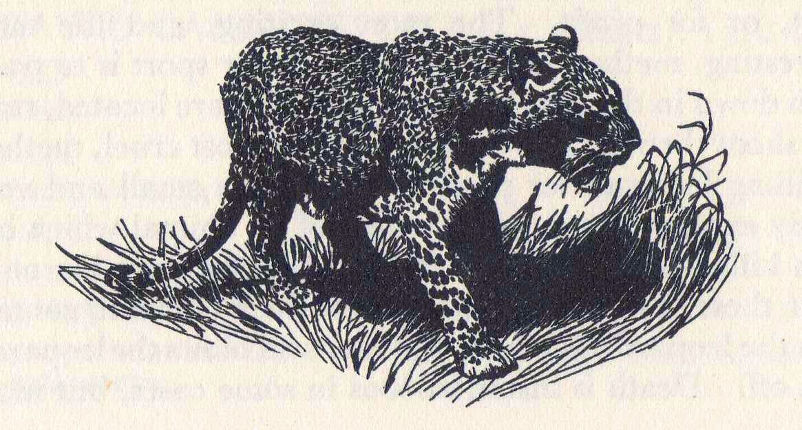 Raymond Sheppard and The Man-Eating leopard of Rudraprayag by Jim ...