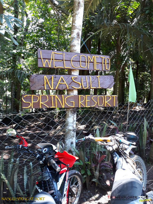 Traverse Philippines: NASULI SPRING RESORT: National Summer Linguistic