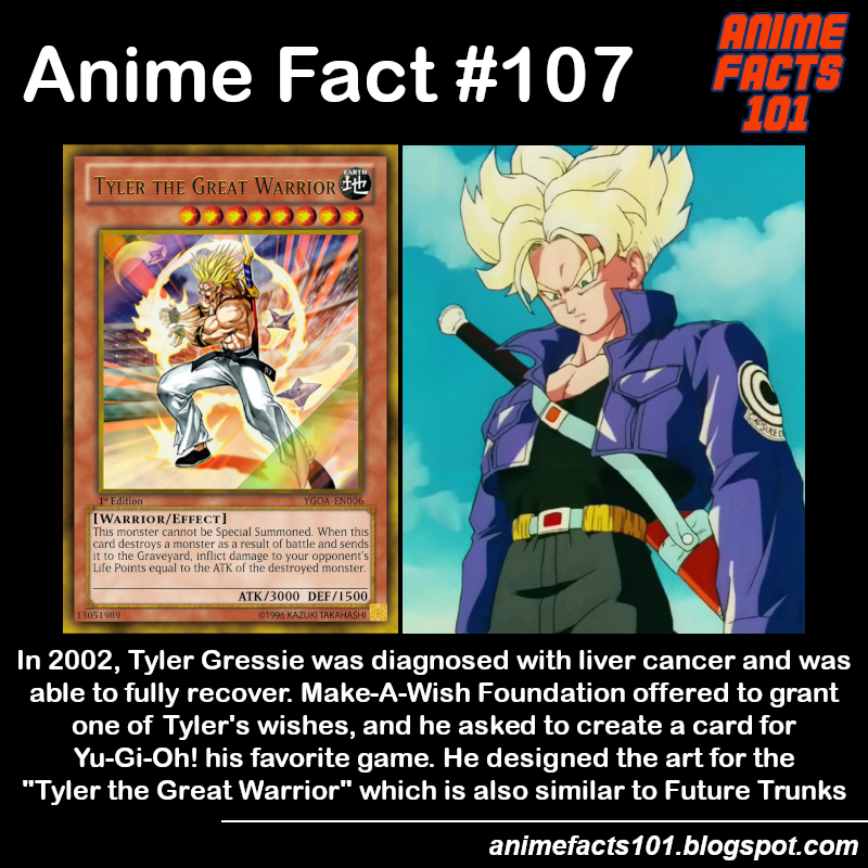 Anime Facts 101