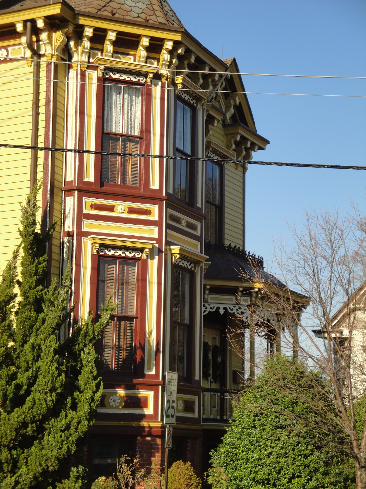 Newly Domesticated: Exploring Downtown Smithfield