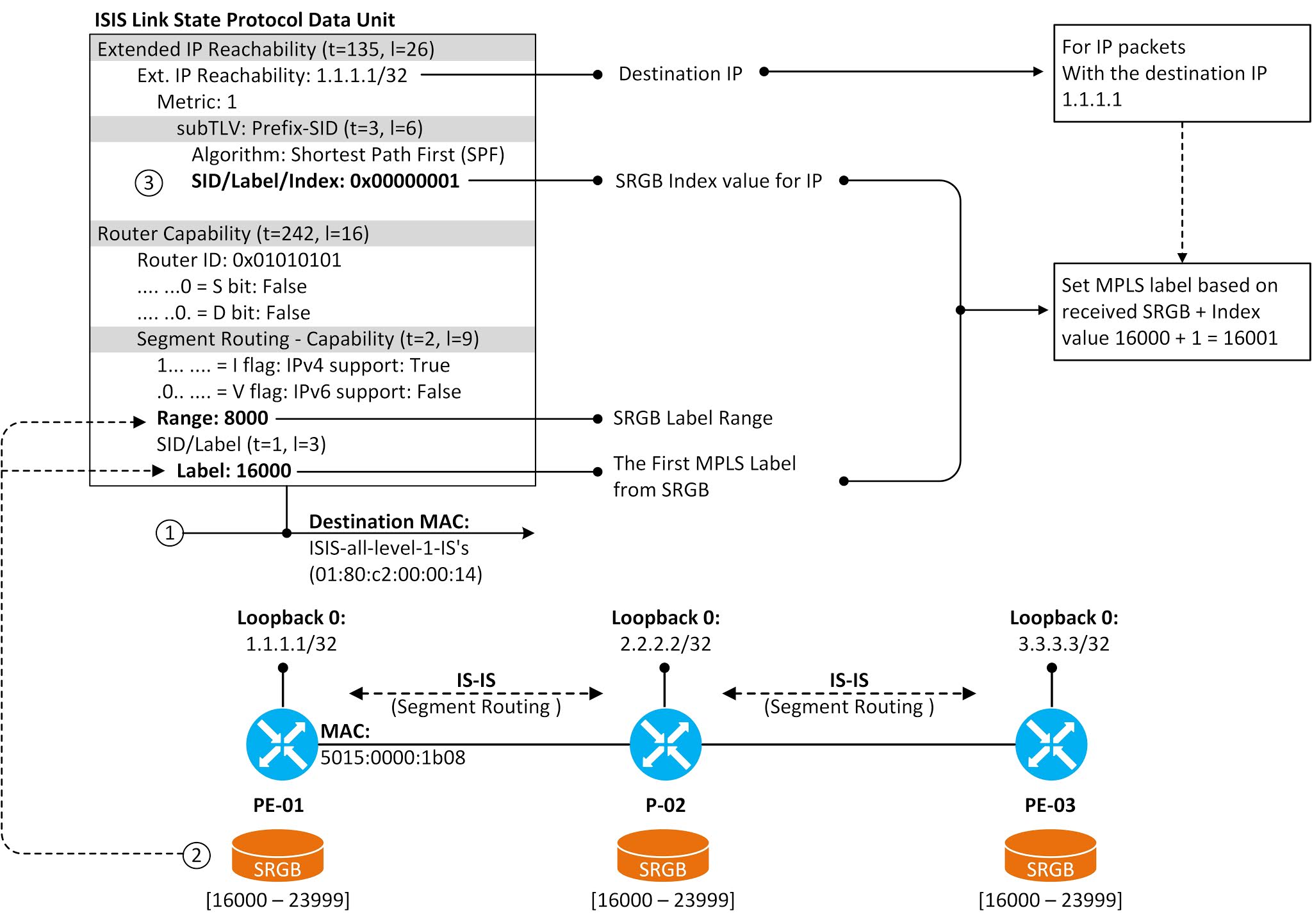 The Network Times: SD-WAN Part IV: MPLS Network with IS-IS Segment ...