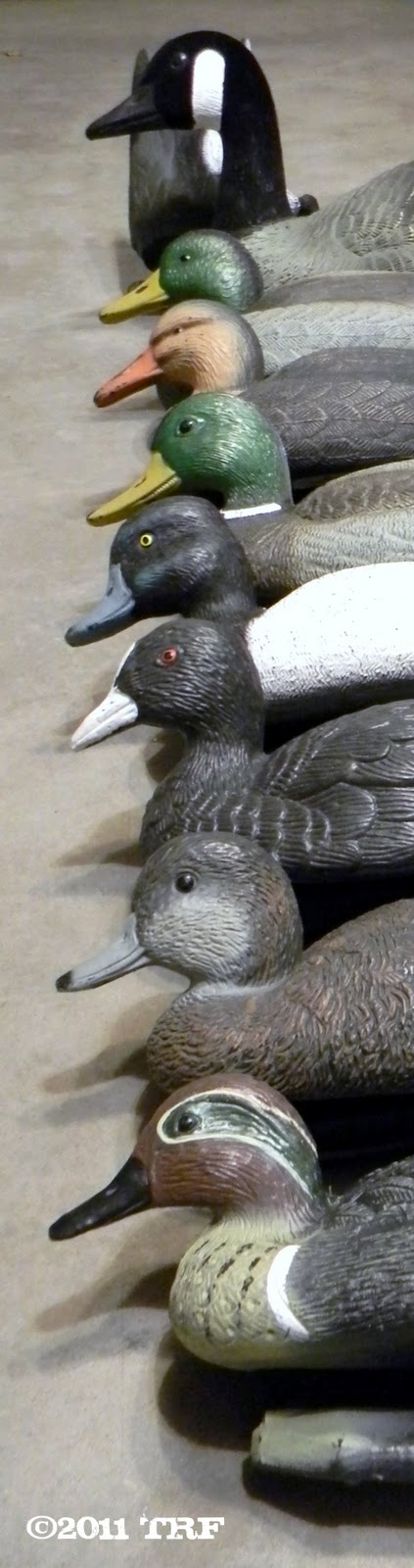 The Reverend Fowl ™: Decoy Rigging: The Minnesota Rig