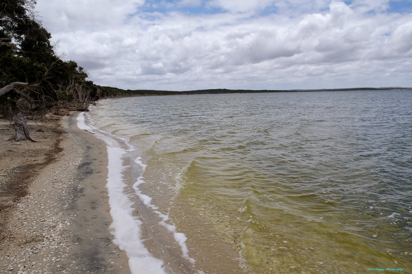 Can Go Around Australia: Stokes Inlet National Park, WA.