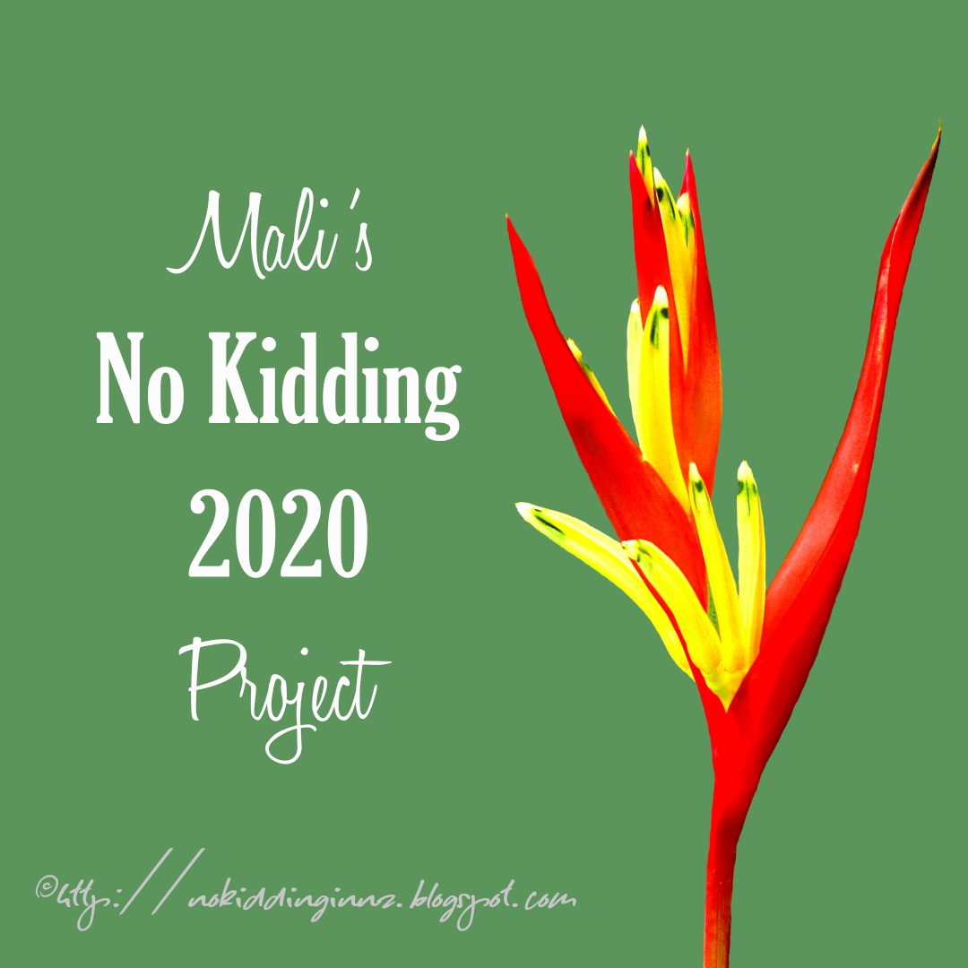 No Kidding In NZ Mali s No Kidding 2020 Project no-kidding-in-nz-mali-s-no-kidding-2020-project