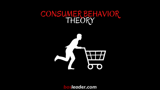 Understanding Consumer Behavior Theory and How to Understanding ...