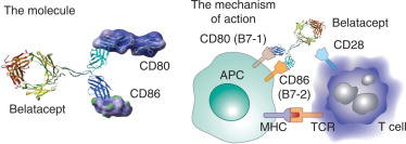 Immunosuppression: why and how?