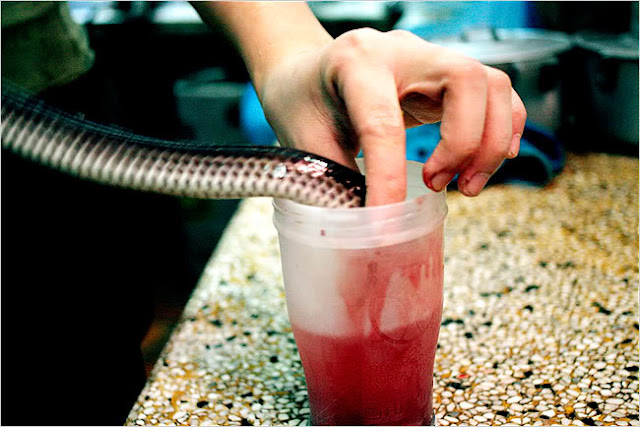 Amazingly The World's Best: World's Most Disgusting Drinks