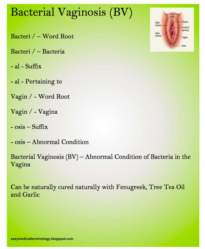 Easy Medical Terminology : Bacterial Vaginosis BV PDF