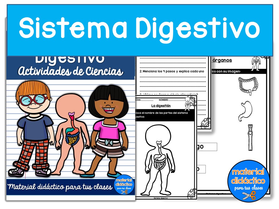 El Sistema Digestivo - Material Didactico para tus clases